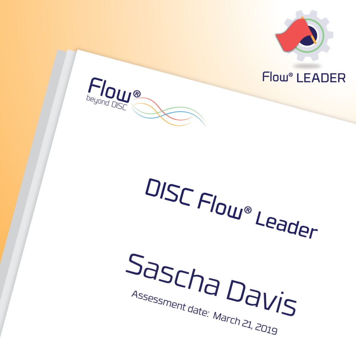 Which Disc Profile Is Best For Leadership Disc Group